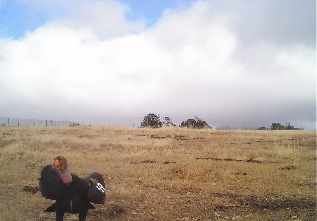 First photos - Biodiversity First!